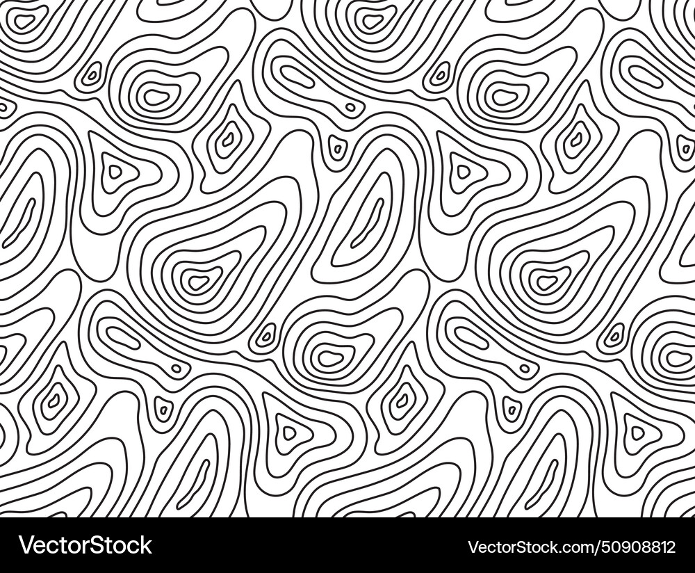 Seamless topographic map texture line topography Vector Image