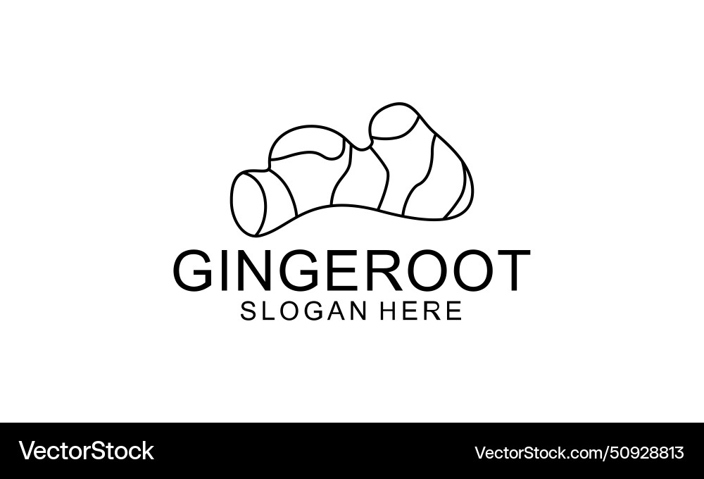 Ginger root logo round linear logo of ginger Vector Image