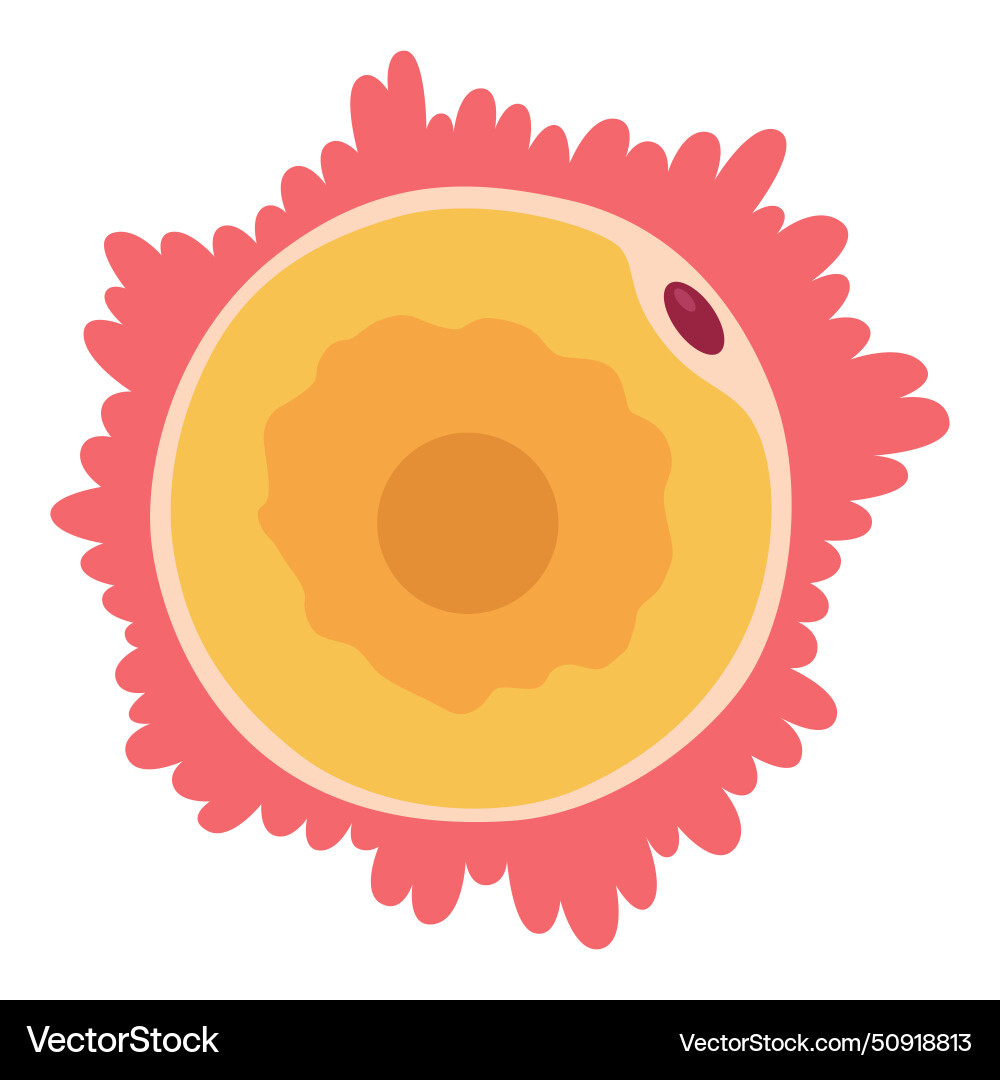 Human cell type icon medicine and biology Vector Image