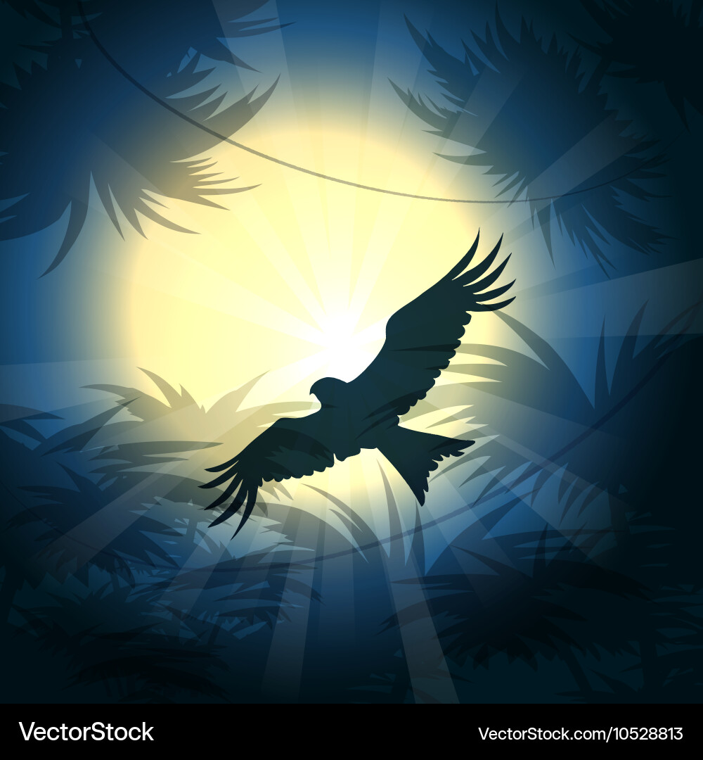 Nighthawk over the rain forest Royalty Free Vector Image
