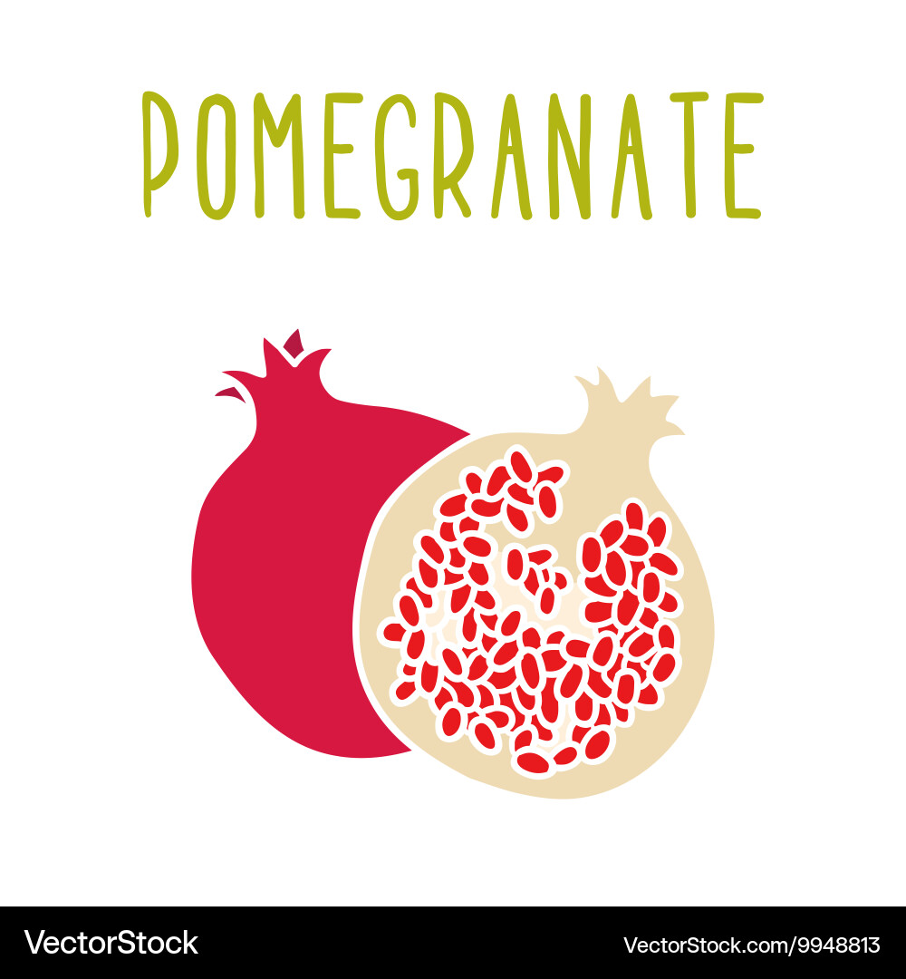 Pomegranate isolated on white Royalty Free Vector Image