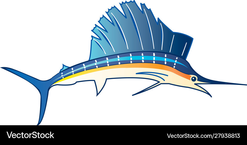 Sailfish Royalty Free Vector Image - VectorStock