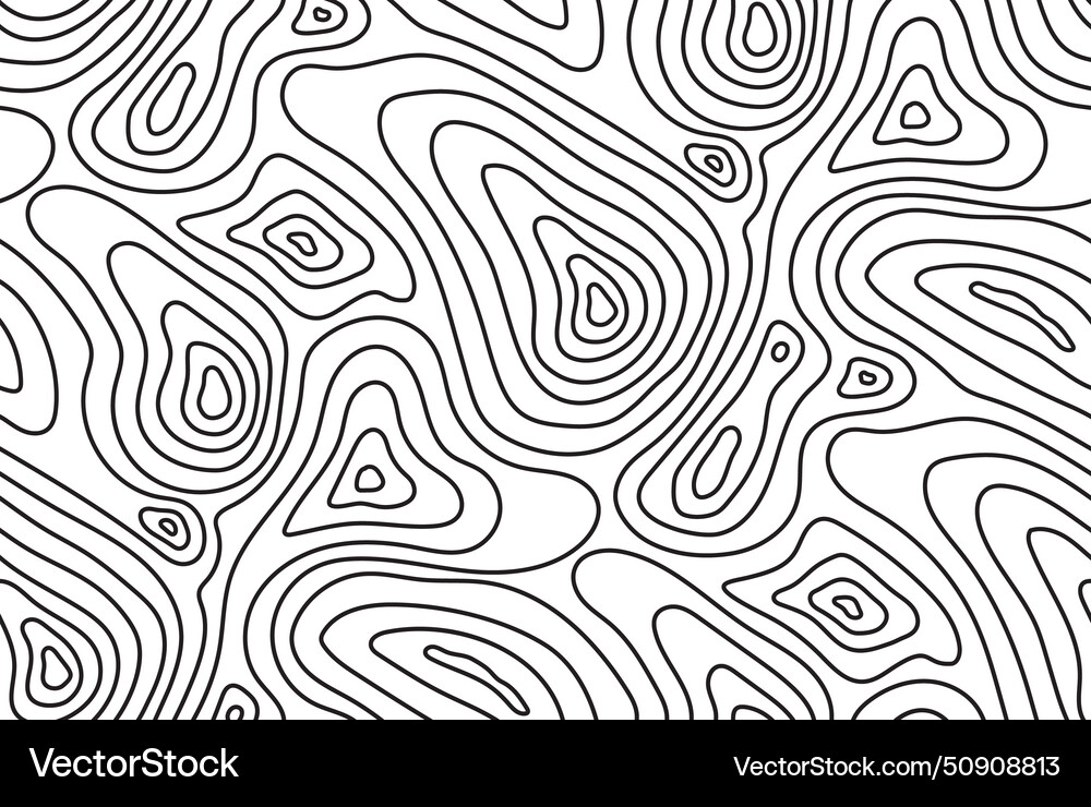 Seamless topographic map texture line topography Vector Image