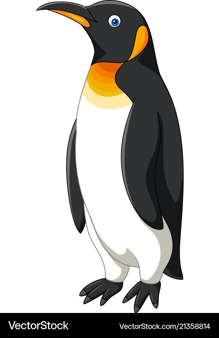Cartoon penguin isolated on white background Vector Image