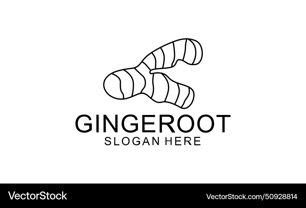 Ginger root logo round linear logo of ginger Vector Image