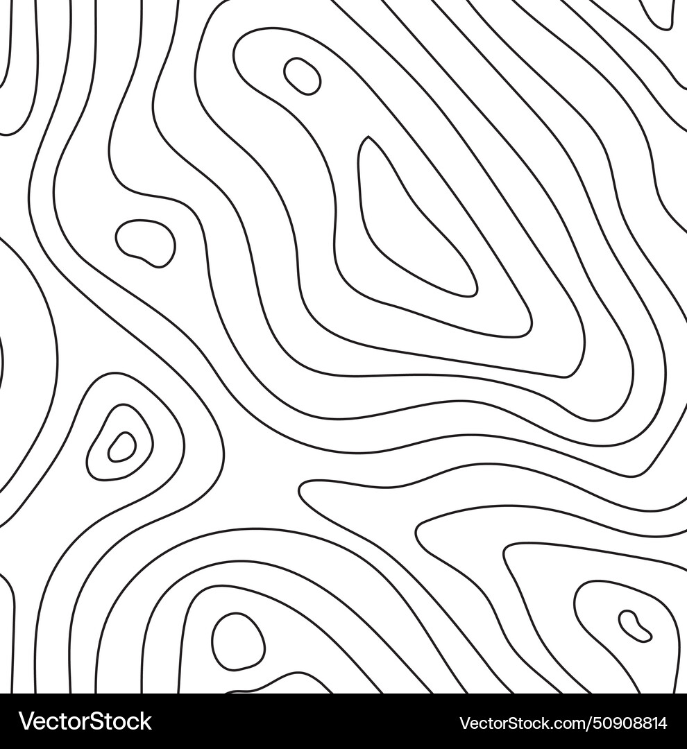 Seamless topographic map texture line topography Vector Image
