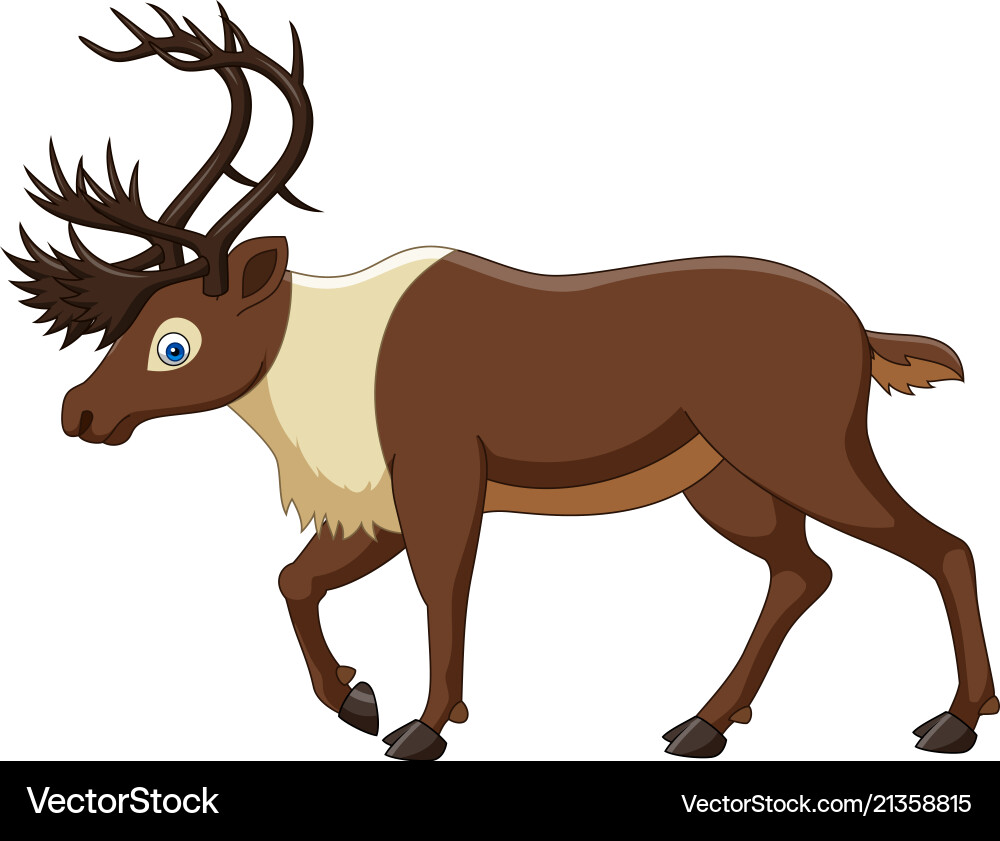 Cartoon reindeer isolated on white background Vector Image
