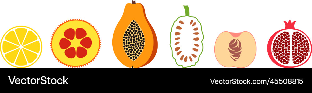 Fruit Royalty Free Vector Image - VectorStock