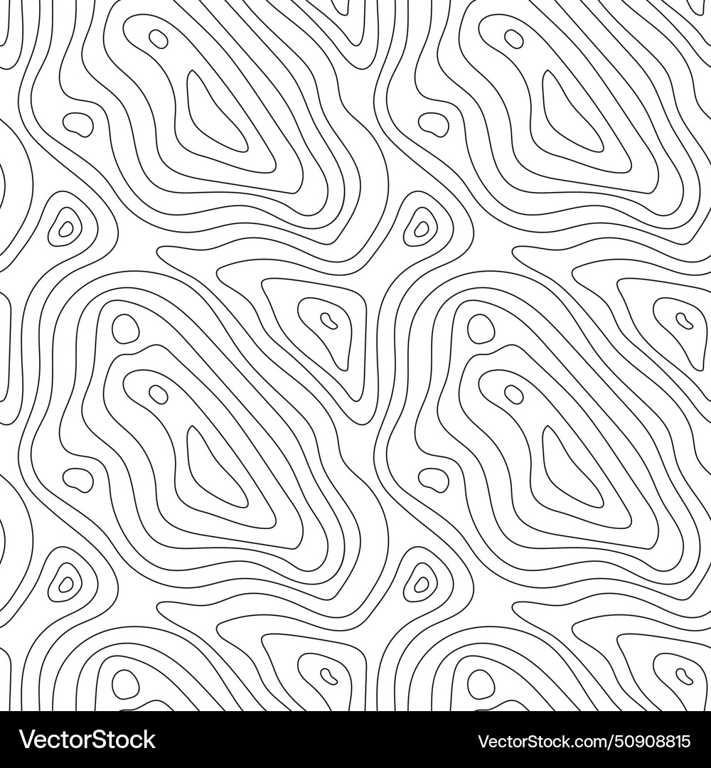 Seamless topographic map texture line topography Vector Image