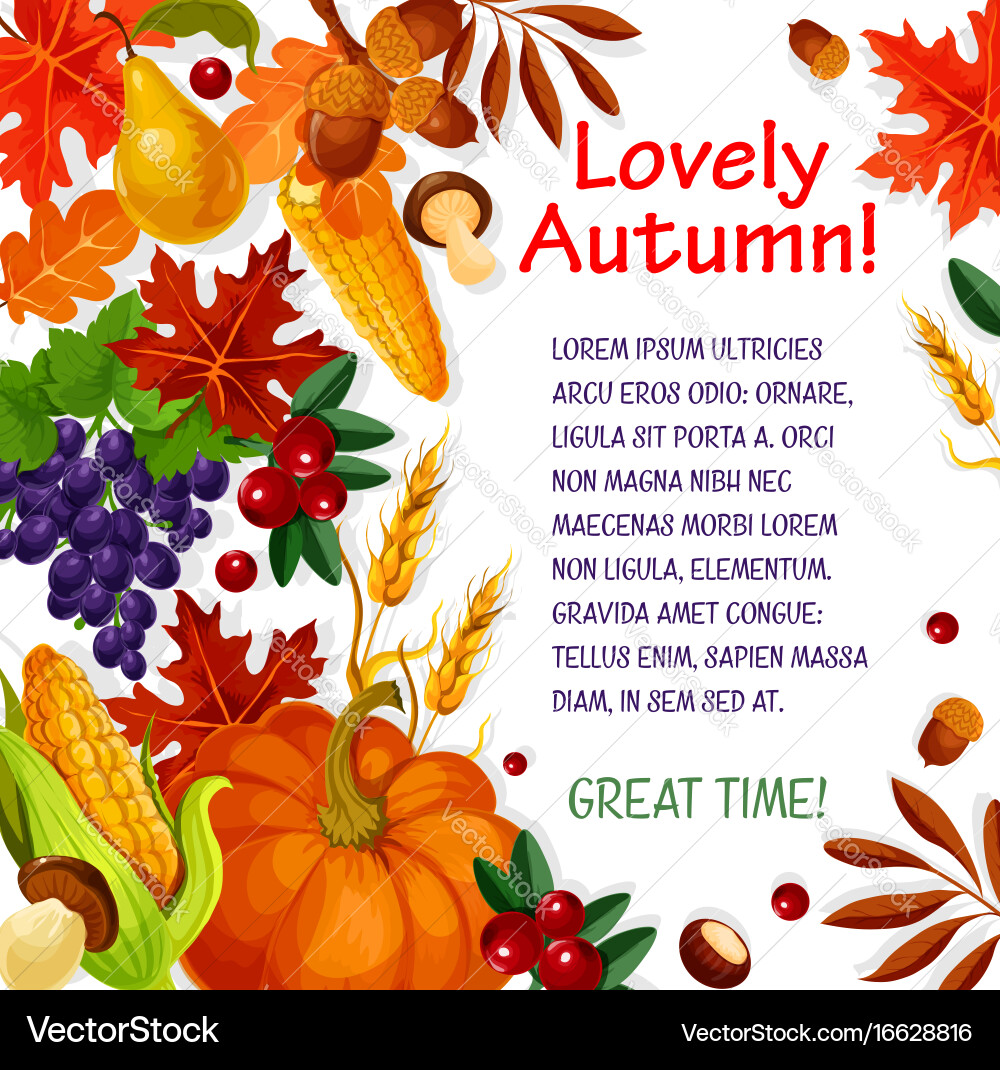 Autumn leaf vegetable and fruit poster template Vector Image