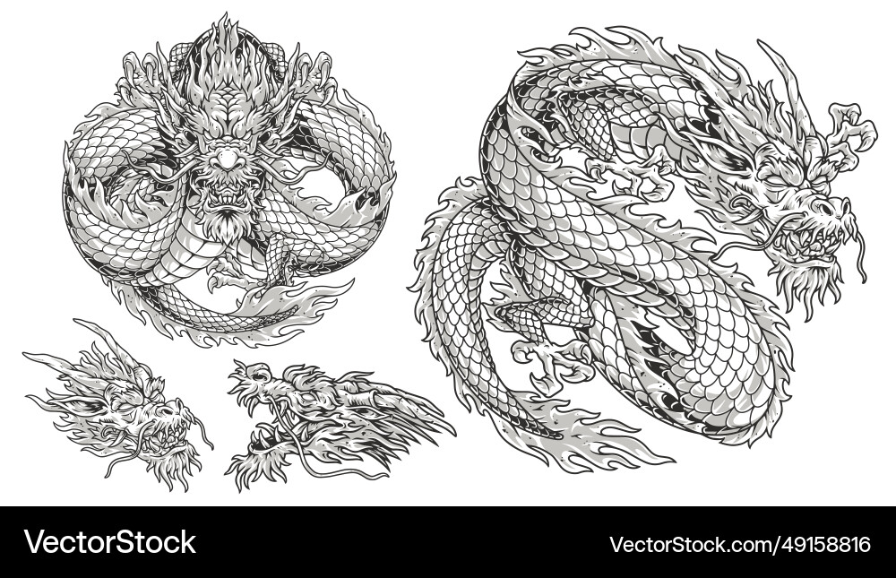 Eastern dragons set logotypes monochrome Vector Image