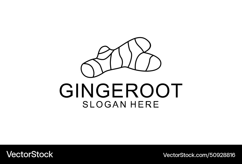 Ginger root logo round linear logo of ginger Vector Image