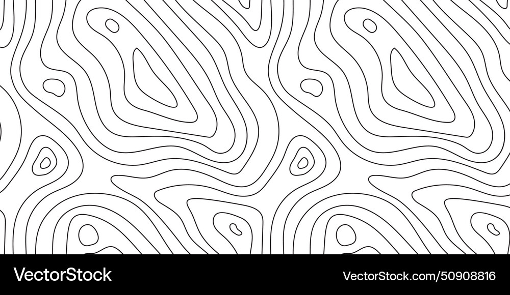 Seamless topographic map texture line topography Vector Image