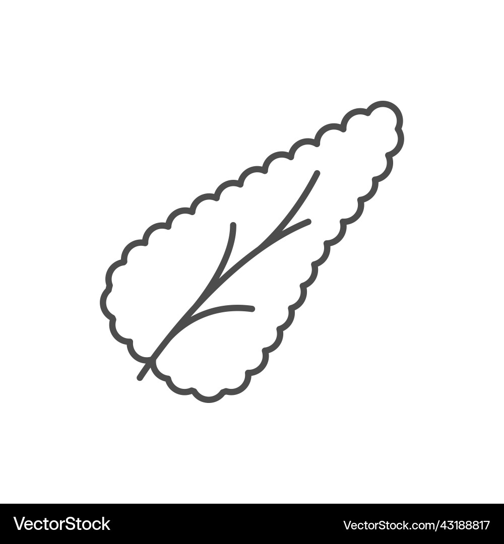 Human pancreas line outline icon Royalty Free Vector Image
