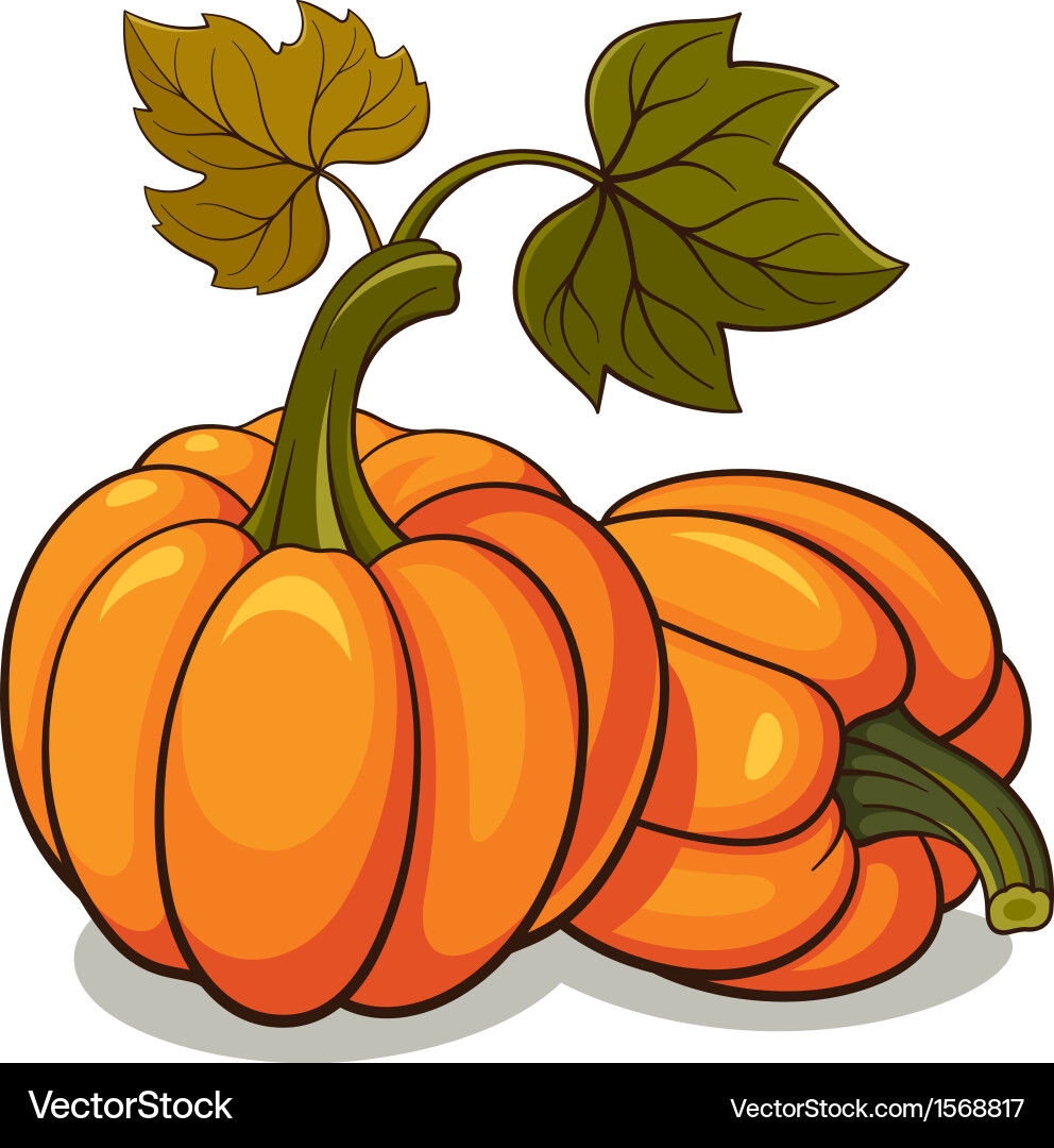 Pumpkins Royalty Free Vector Image - VectorStock