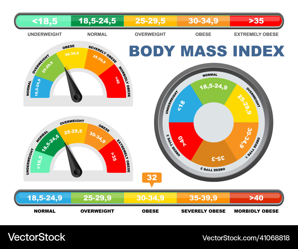 Bmi chart scale body mass Royalty Free Vector Image
