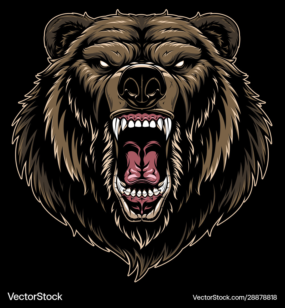 Head a ferocious grizzly bear Royalty Free Vector Image