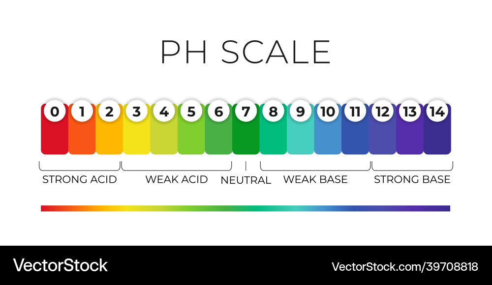 Ph value scale chart for acid-alkaline solution Vector Image