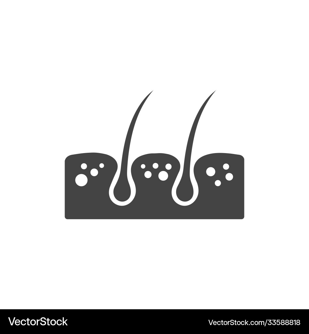 Pore skin icon Royalty Free Vector Image - VectorStock