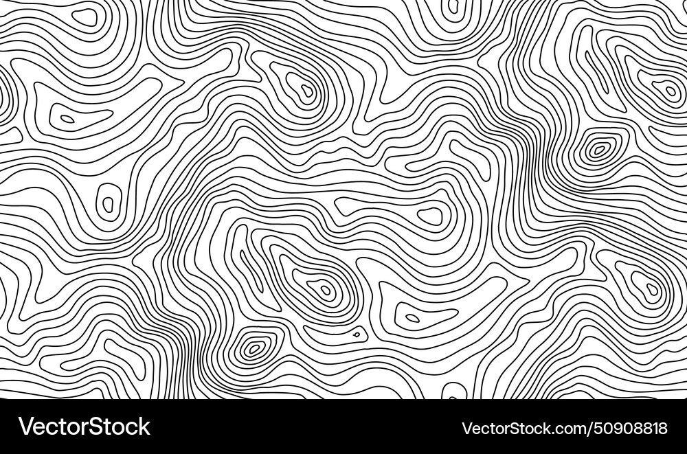 Seamless topographic map texture line topography Vector Image