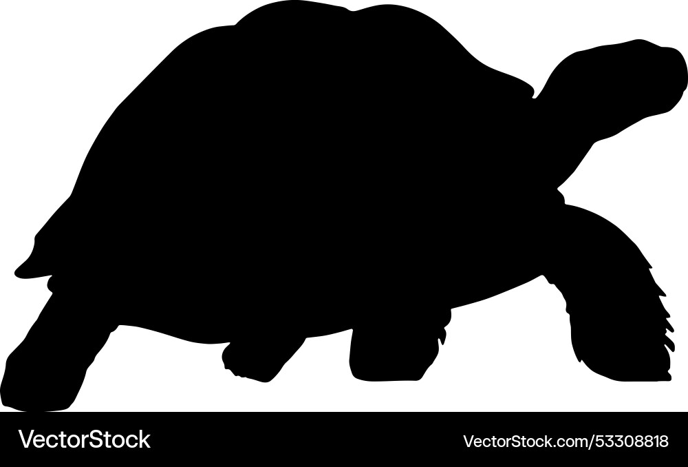 Sulcata or african spurred tortoise silhouette Vector Image