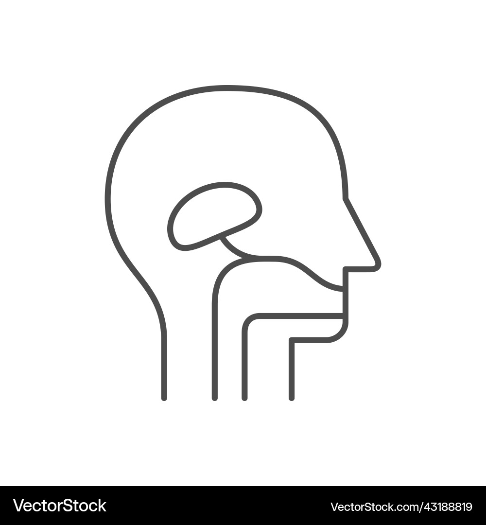 Digestive system line outline icon Royalty Free Vector Image