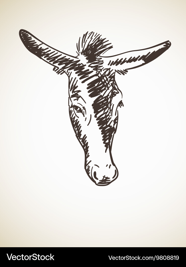 Donkey Royalty Free Vector Image - VectorStock