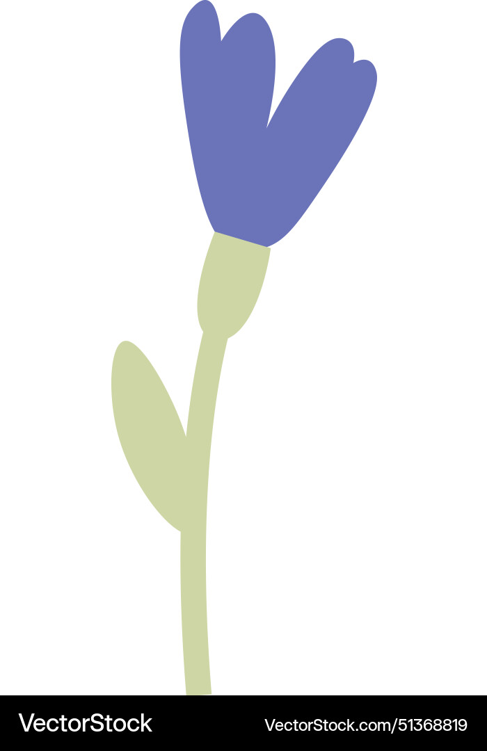 Flower on stem Royalty Free Vector Image - VectorStock