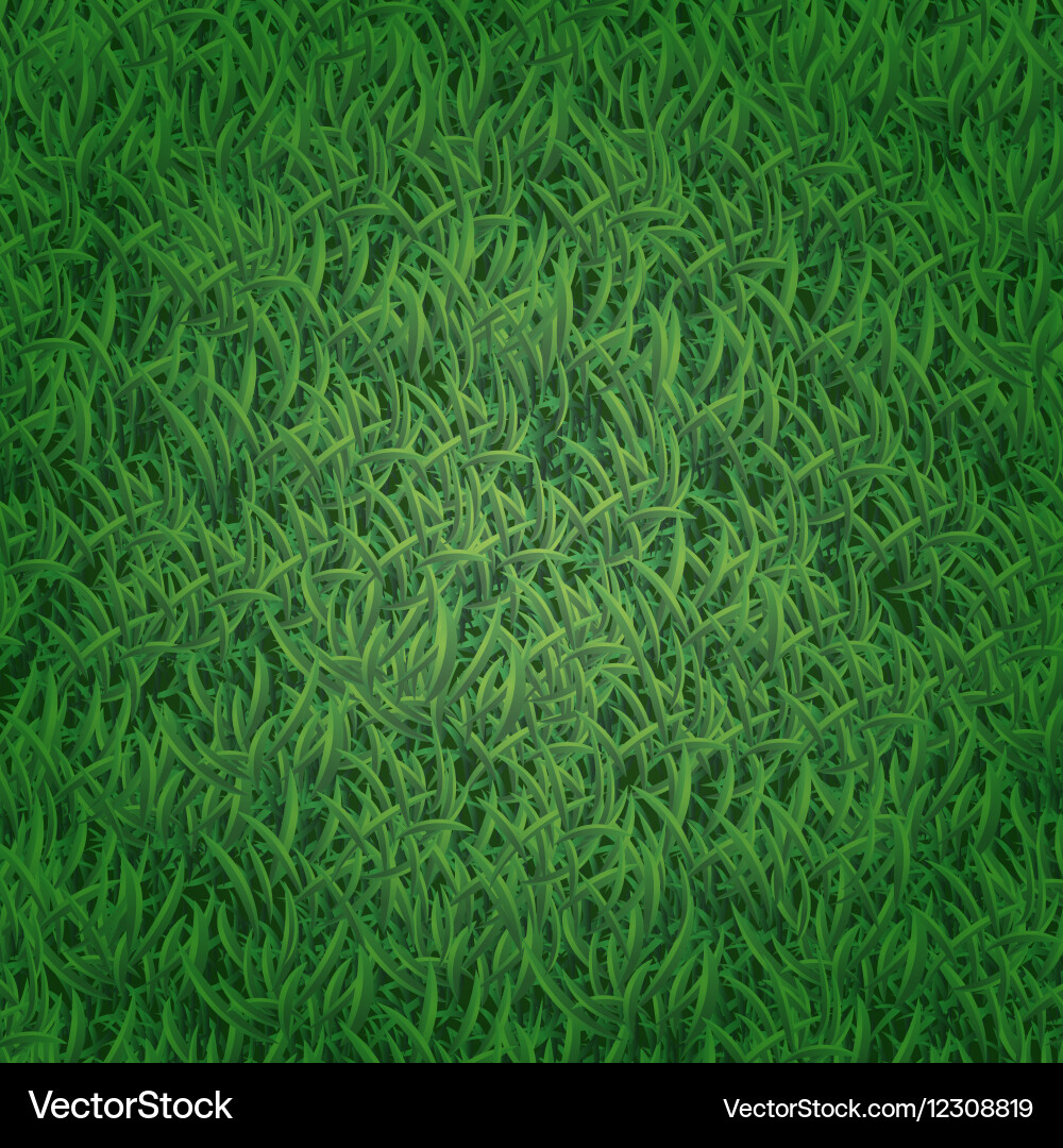 Seamless grass texture Royalty Free Vector Image