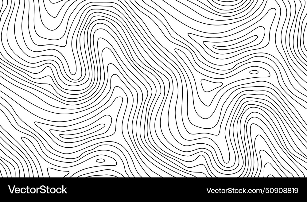 Seamless topographic map texture line topography Vector Image