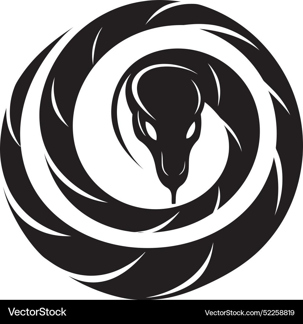 Shadowed python dance stylish designelegant black Vector Image