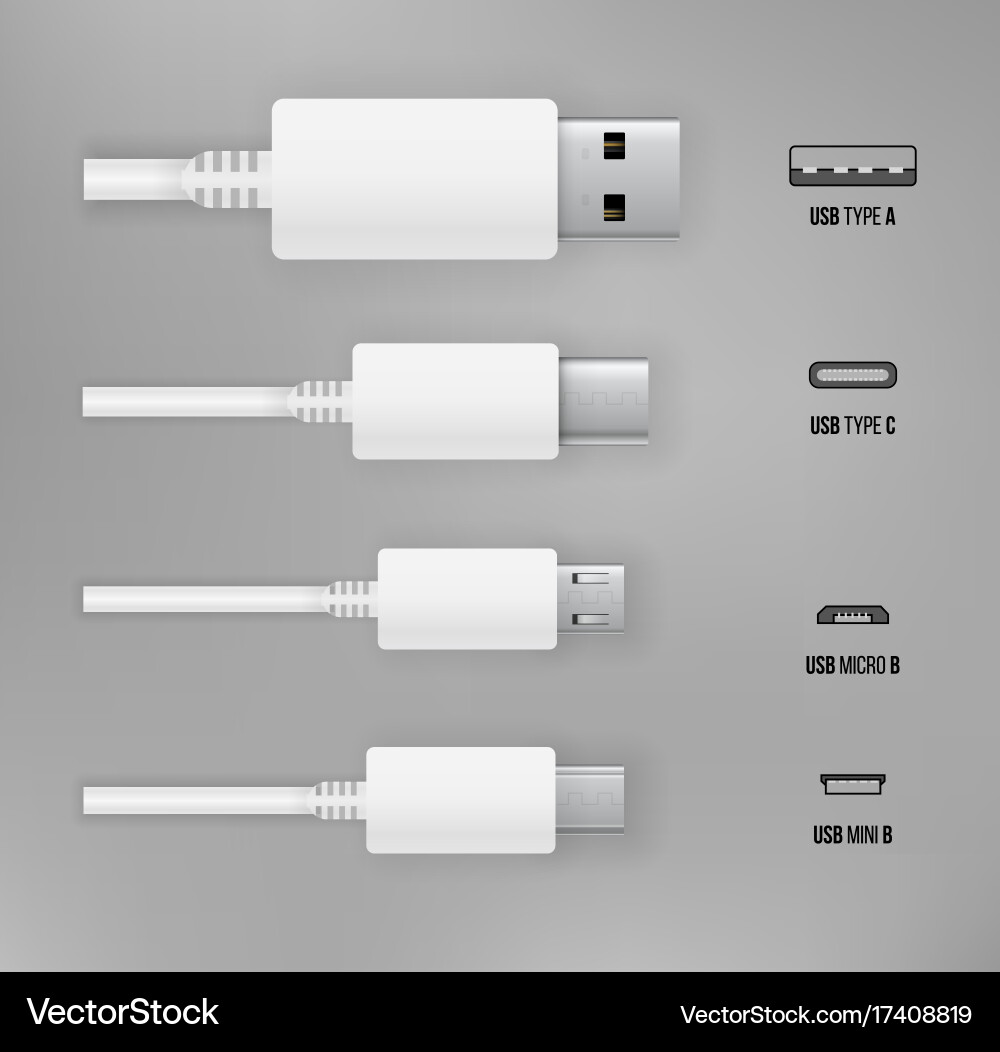 Usb all type Royalty Free Vector Image - VectorStock