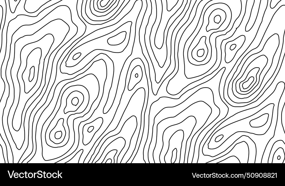 Seamless topographic map texture line topography Vector Image