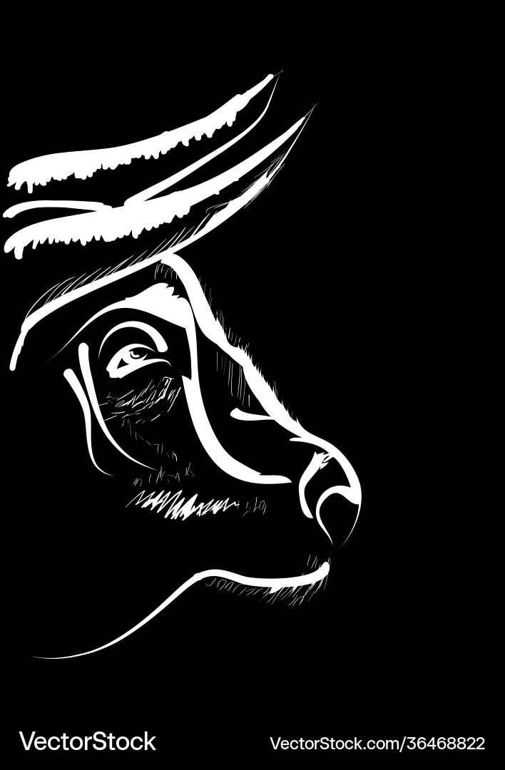 White bull Royalty Free Vector Image - VectorStock