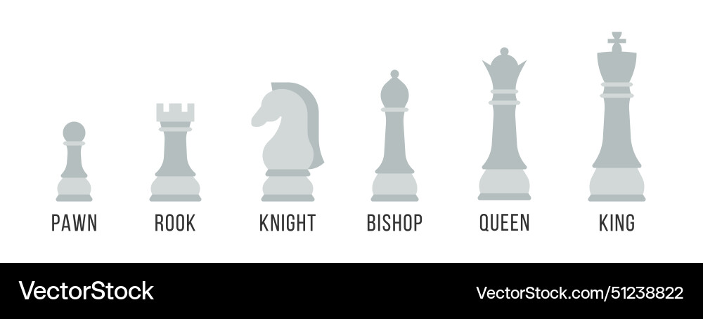 White chess pieces with their names labelled Vector Image