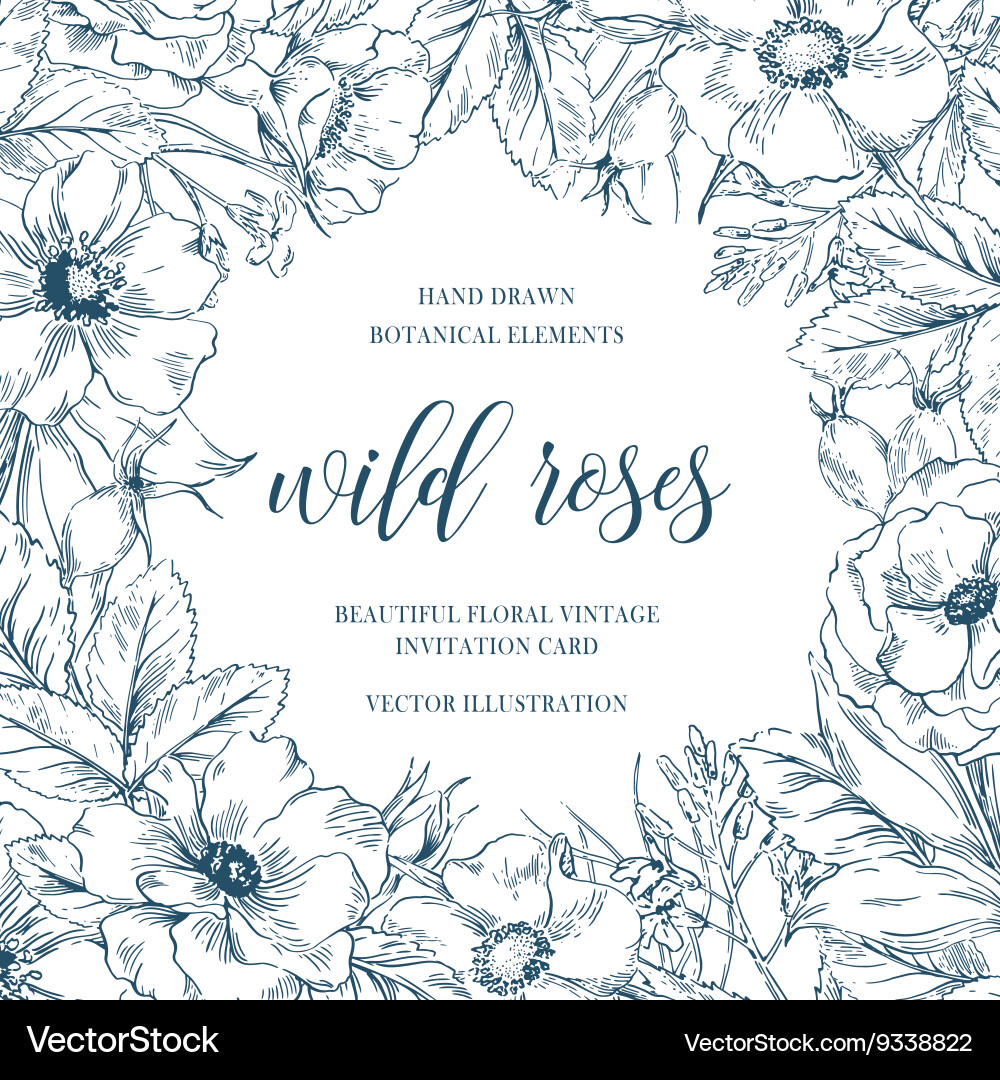 Wild roses floral frame Royalty Free Vector Image