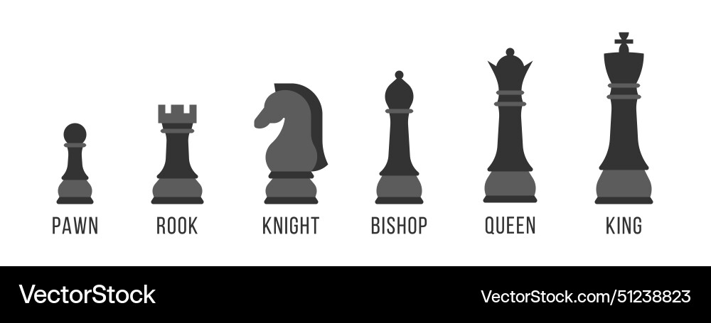 Black chess pieces with their names labeled Vector Image