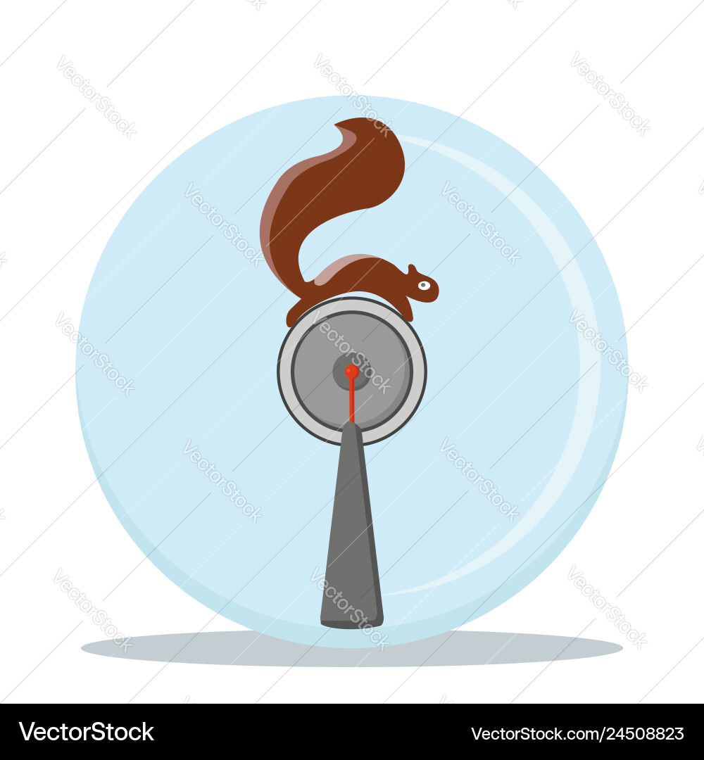 Squirrel ball Royalty Free Vector Image - VectorStock