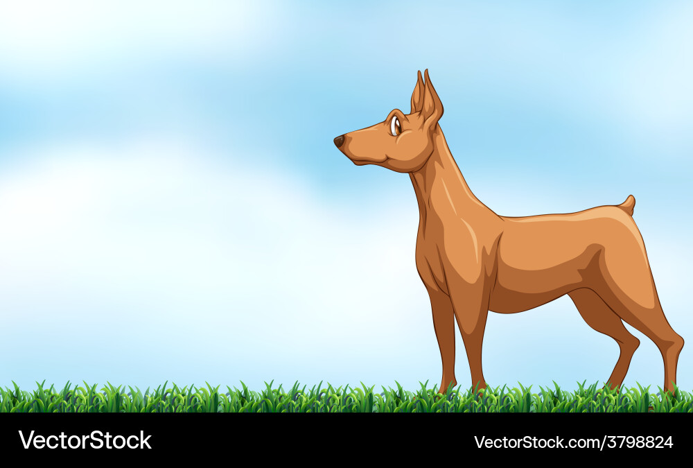 Dog Royalty Free Vector Image - VectorStock