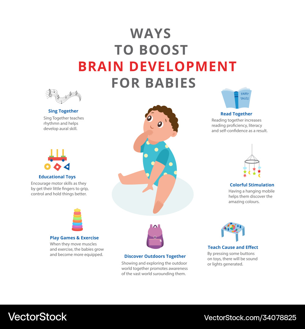 Baby brain development poster flat cartoon Vector Image