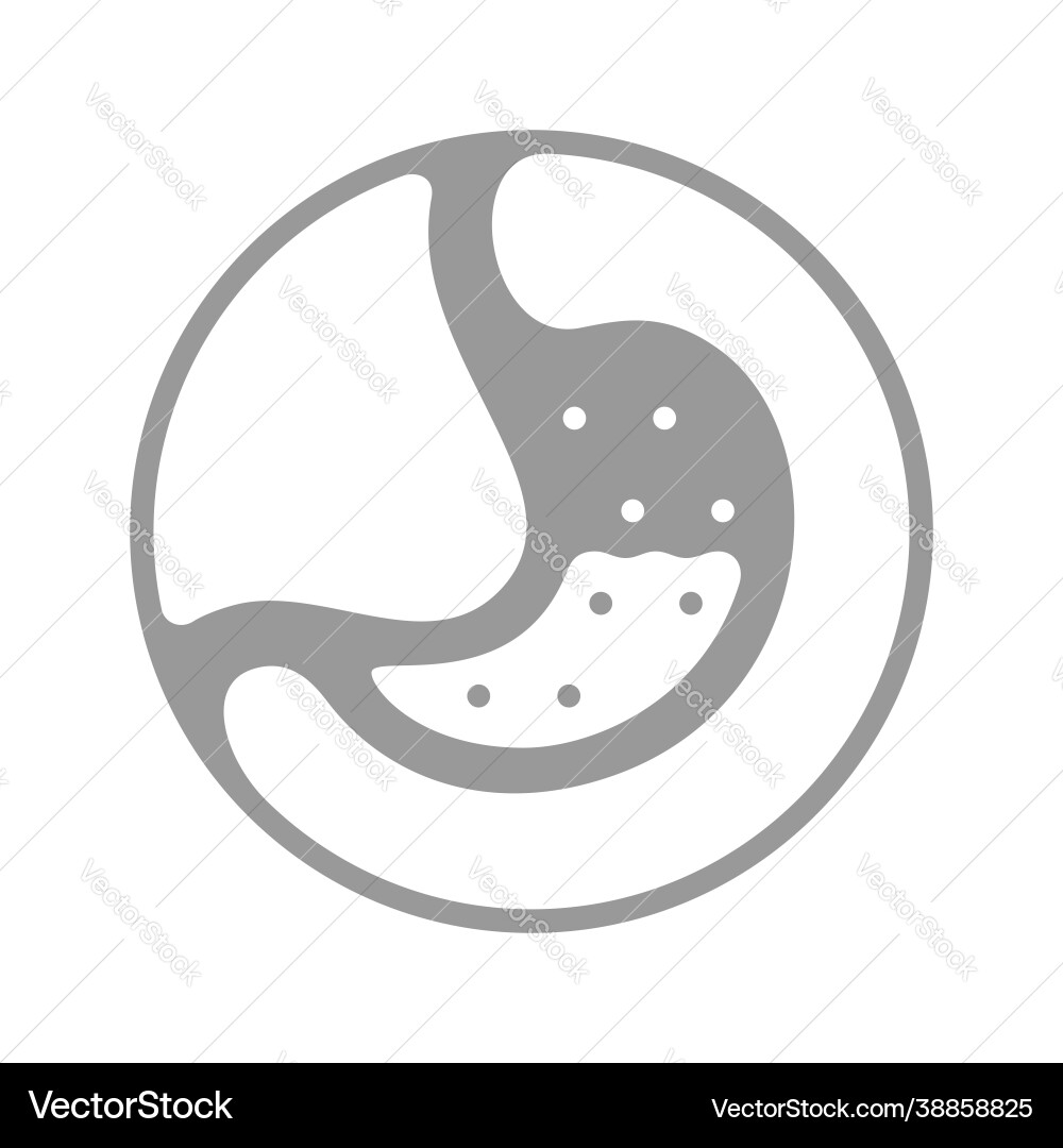 Human Stomach Icon Royalty Free Vector Image - VectorStock