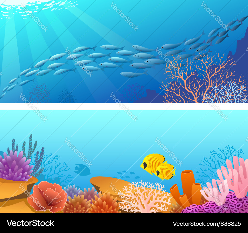 Sea life banners Royalty Free Vector Image - VectorStock