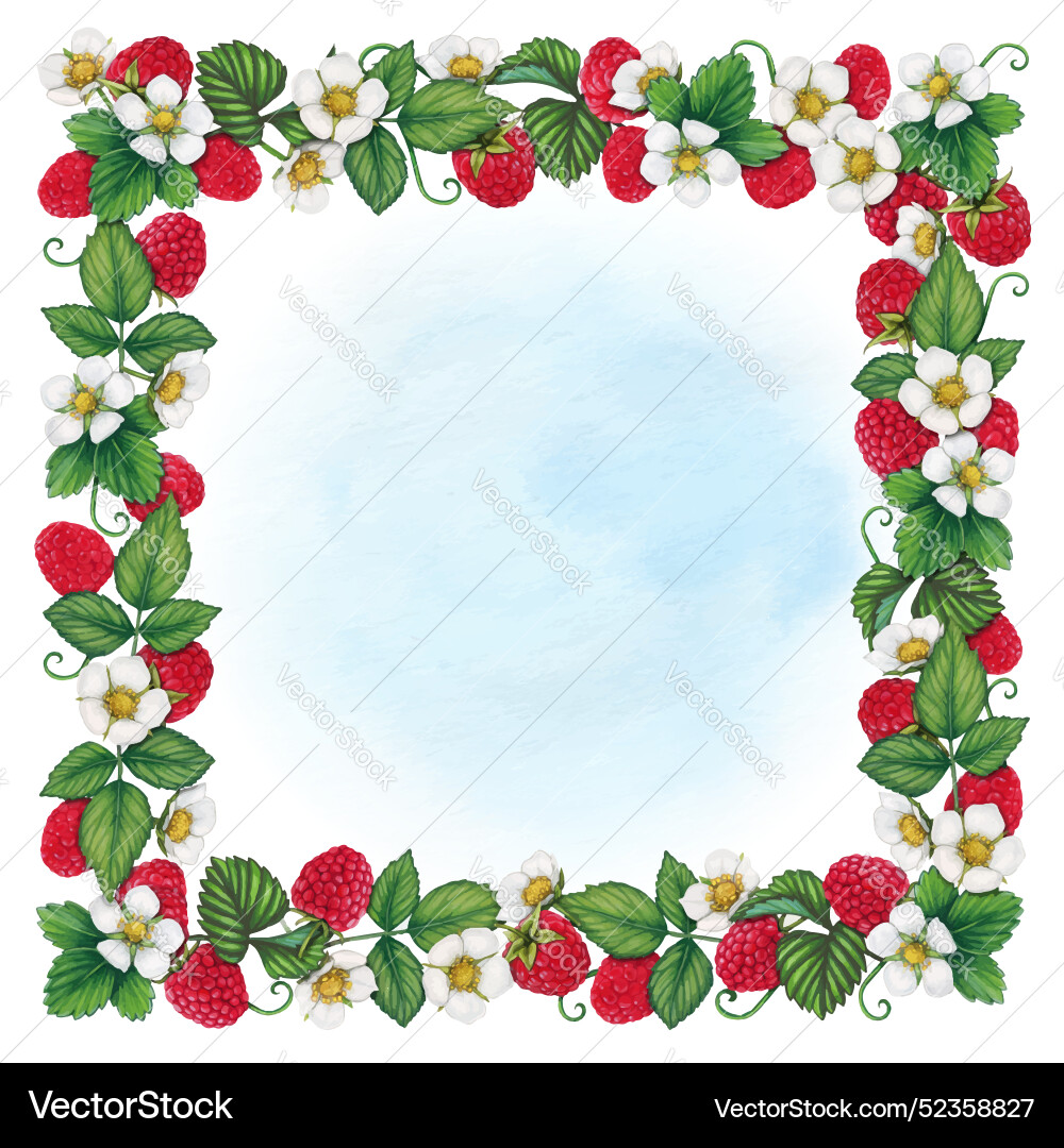 Cute watercolor ha nd drawn raspberry frame Vector Image