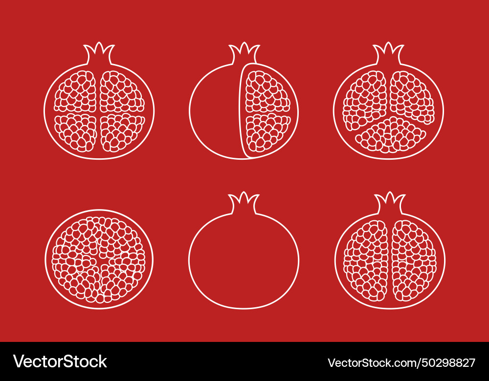 Pomegranate (50298827) – Royalty-Free Vector | VectorStock