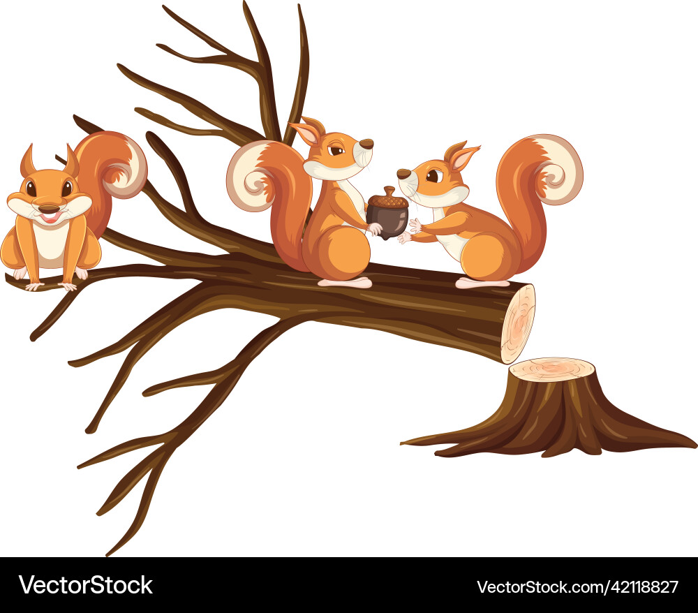 Three squirrels sitting on the log Royalty Free Vector Image
