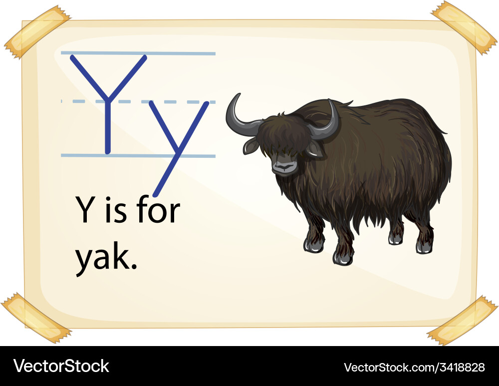 A letter y for yak Royalty Free Vector Image - VectorStock