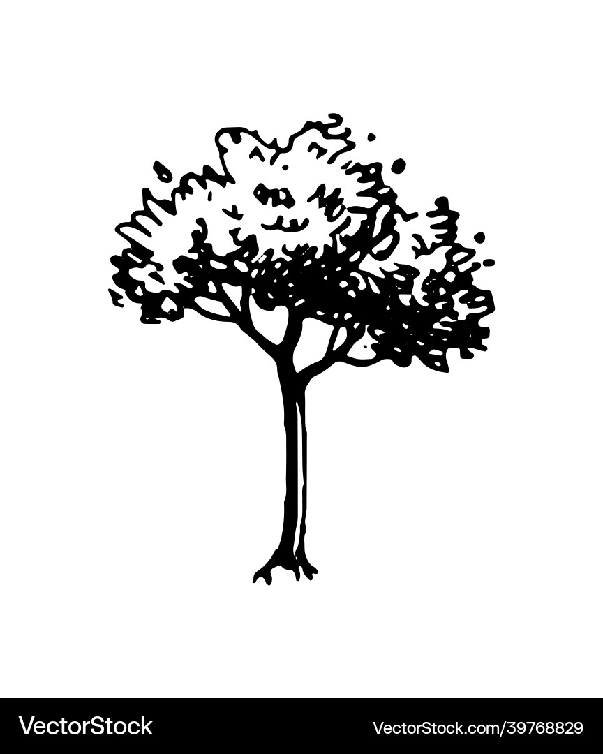 Hand-Drawn Tree Sketch Royalty Free Vector Image