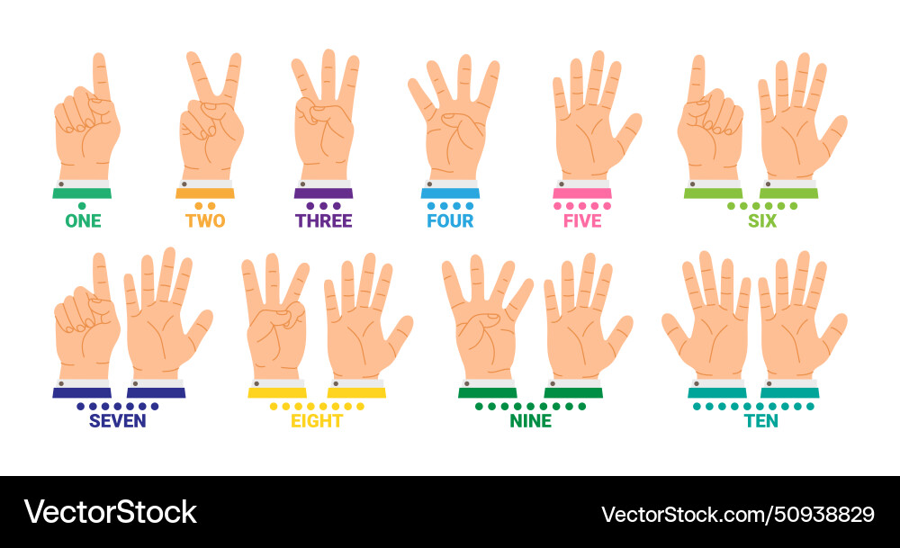 Hands count with fingers cartoon counting from Vector Image