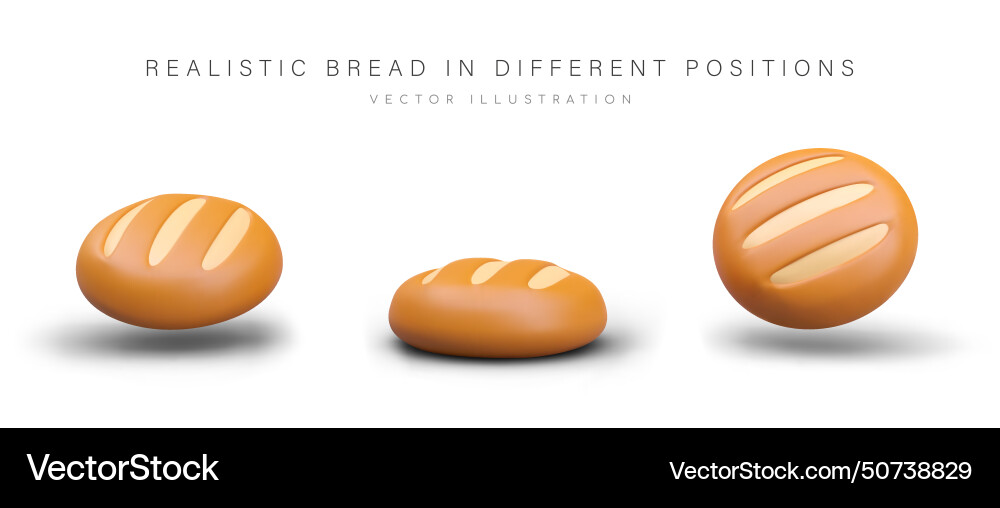 Round bread on gray background in different Vector Image