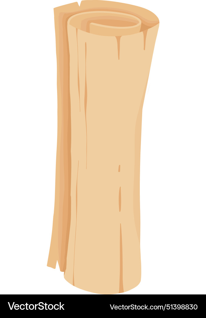 Cartoon ancient parchment scroll and old paper Vector Image